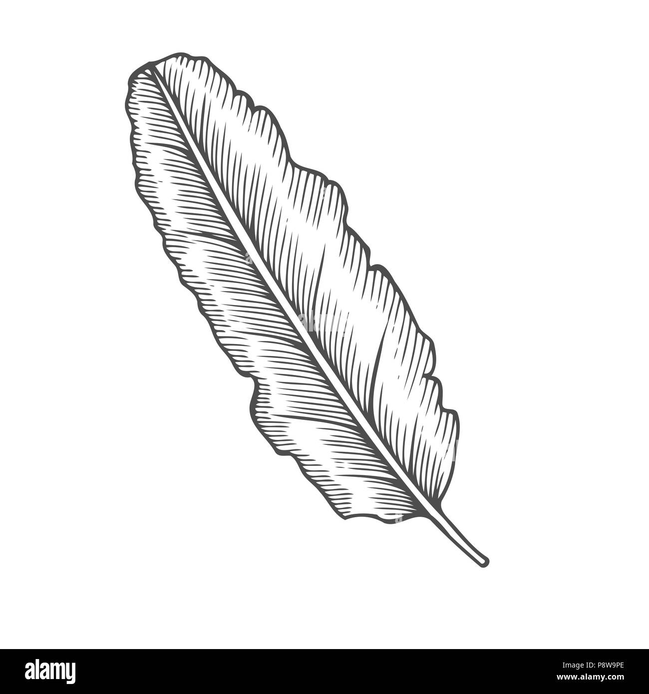 Raw nori Black and White Stock Photos & Images - Alamy