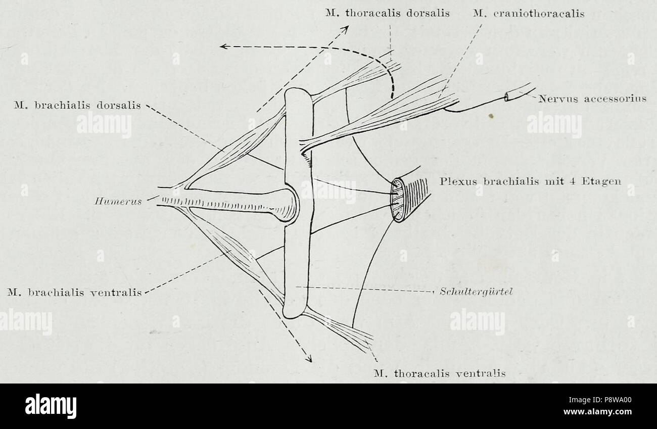 Early post modernist hi-res stock photography and images - Alamy