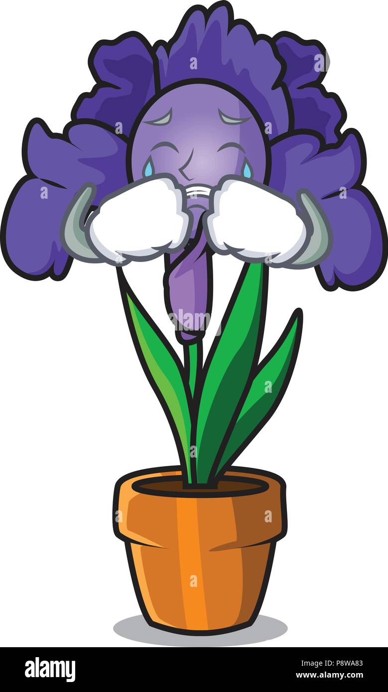 Crying iris flower mascot cartoon Stock Vector Image & Art - Alamy
