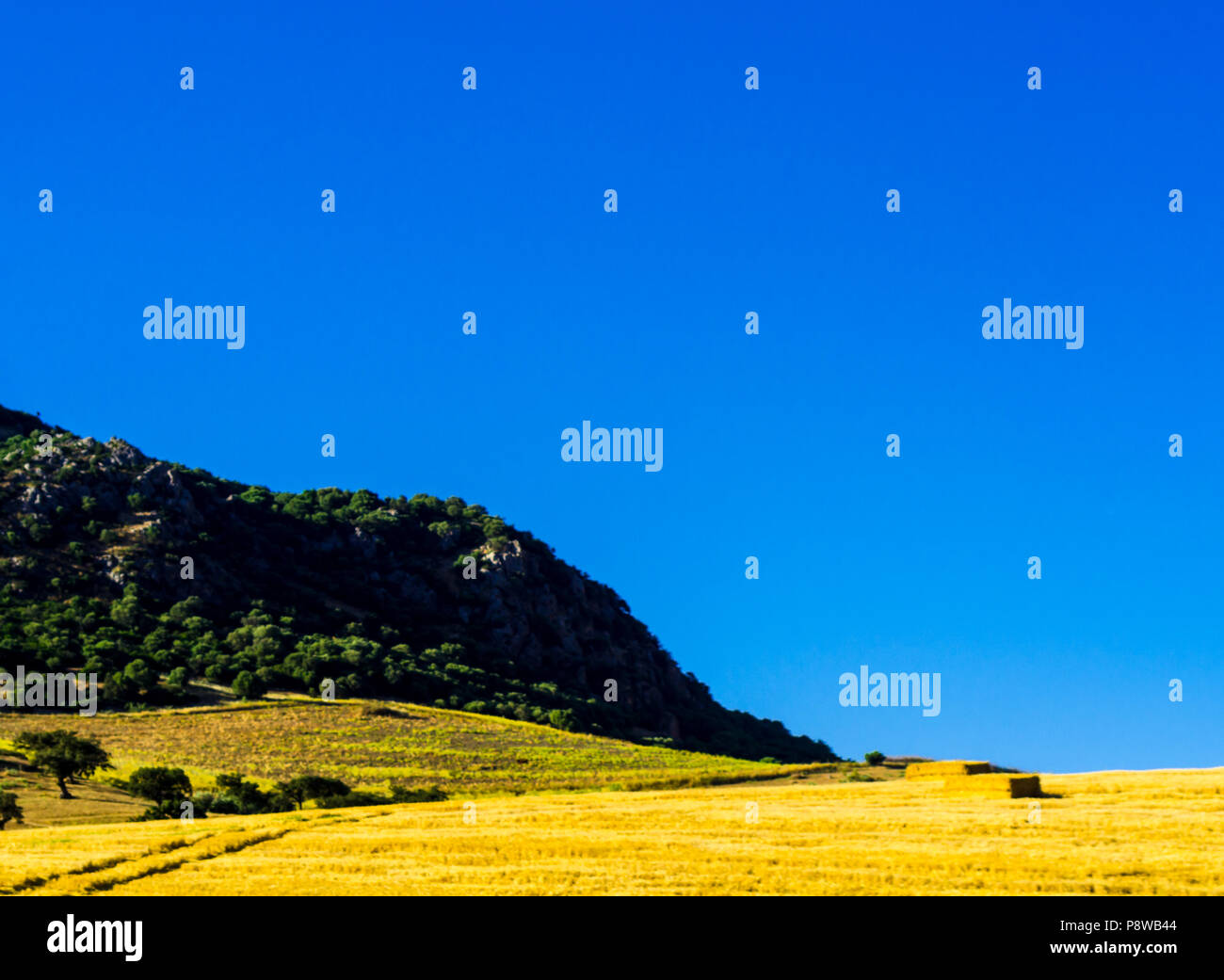 mountain peaks in the Andalusian region, typical mountain landscape ...