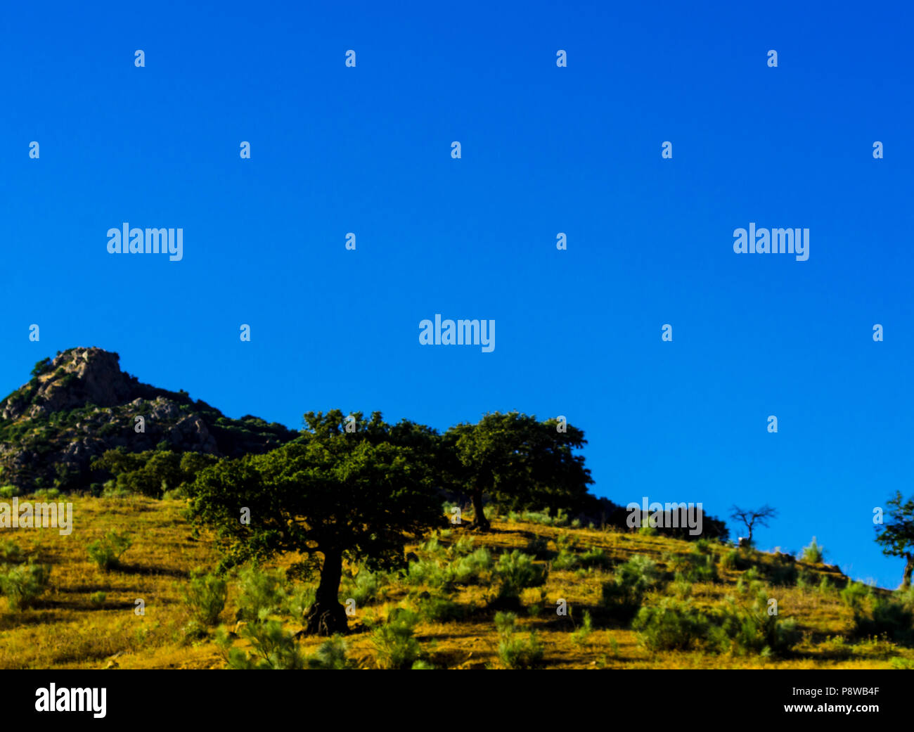 mountain peaks in the Andalusian region, typical mountain landscape ...