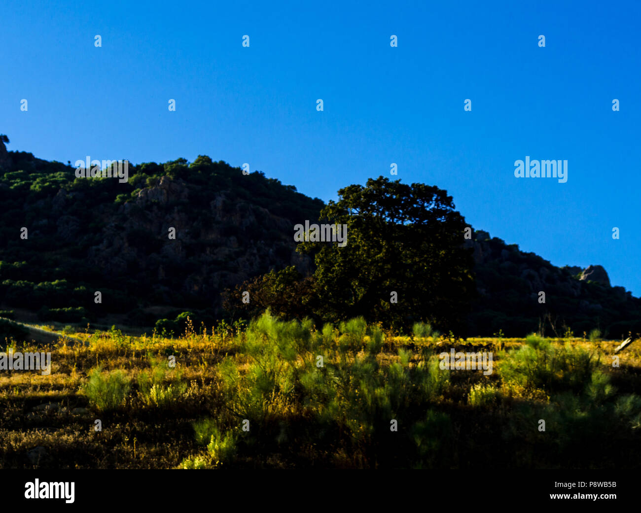 mountain peaks in the Andalusian region, typical mountain landscape ...