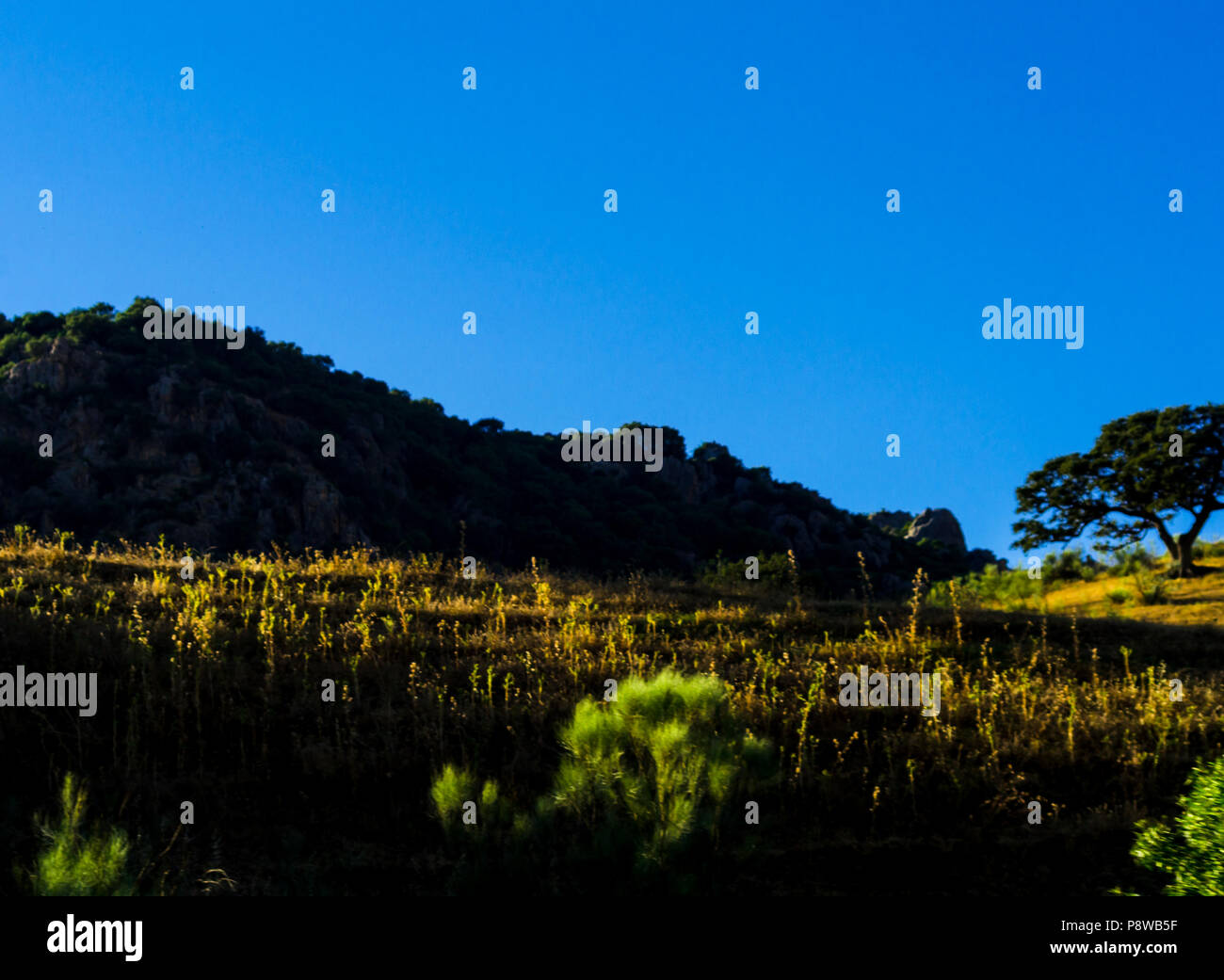 mountain peaks in the Andalusian region, typical mountain landscape ...