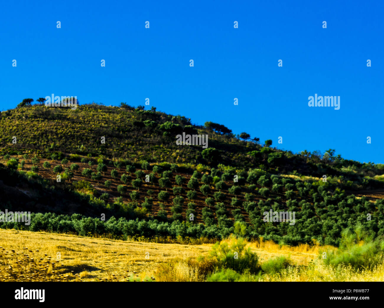 mountain peaks in the Andalusian region, typical mountain landscape ...