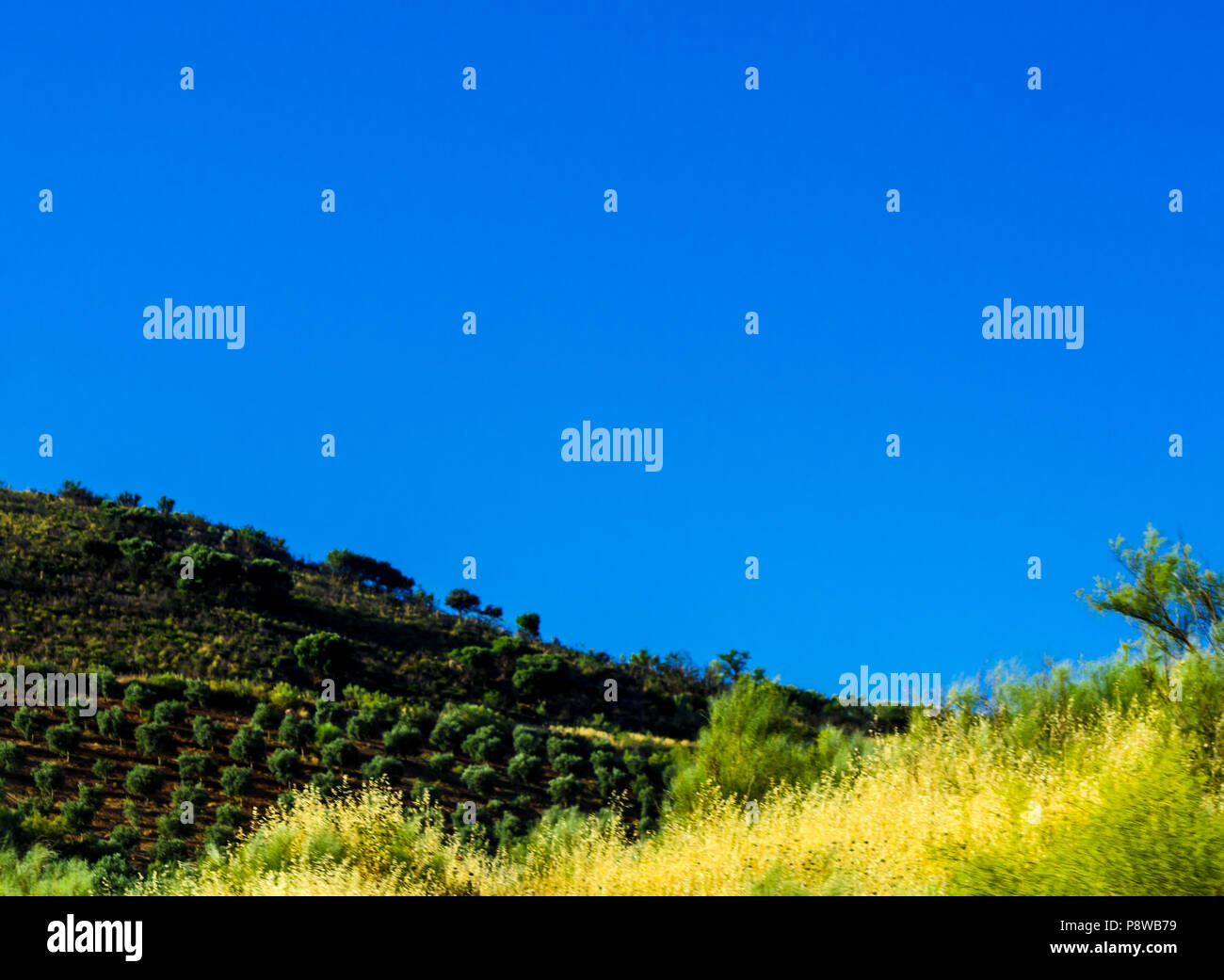 mountain peaks in the Andalusian region, typical mountain landscape ...