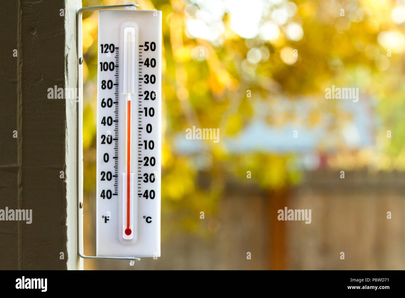 Image of a thermometer with pretty colors of fall in the background ...
