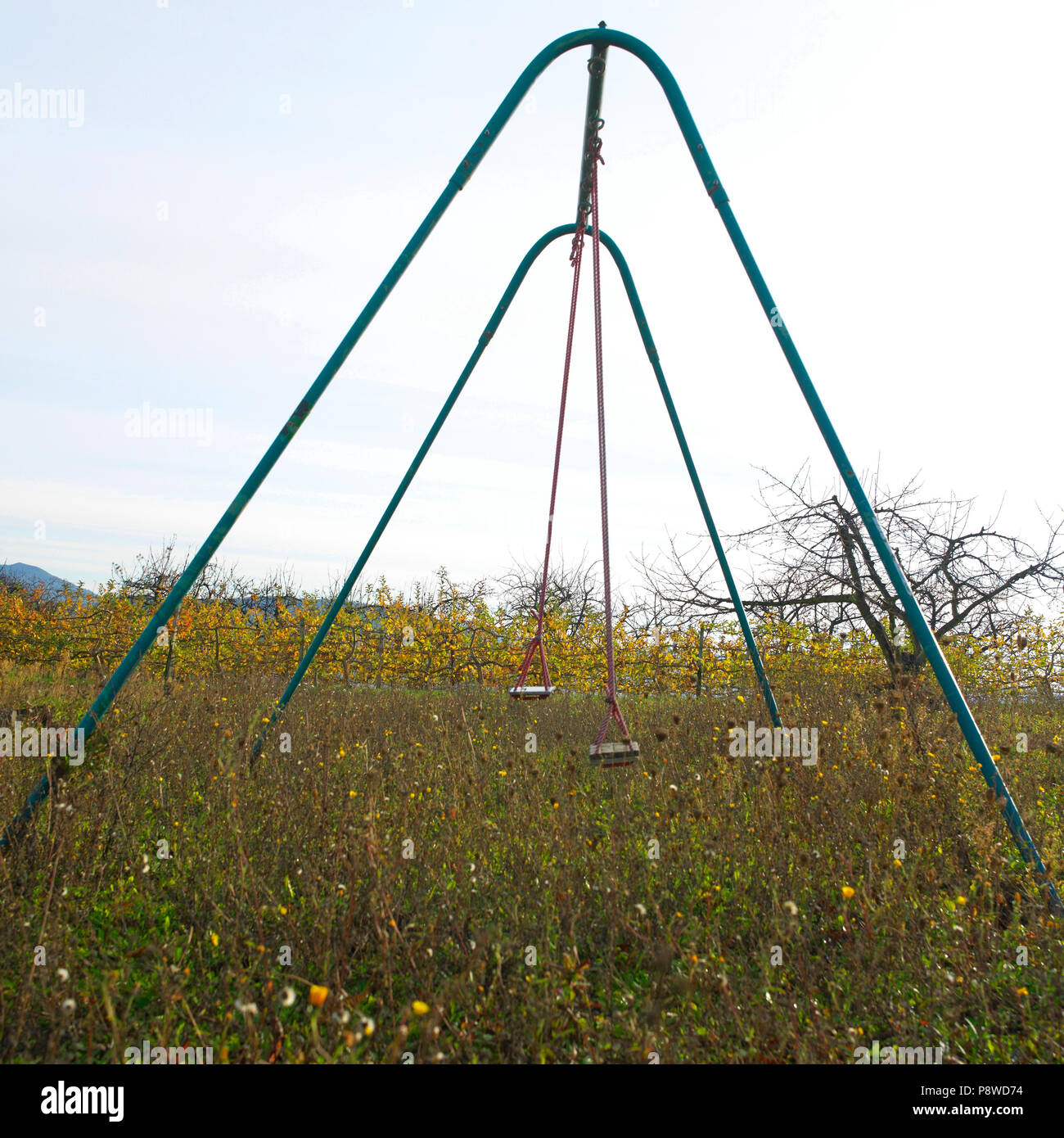 Empty Swing Set