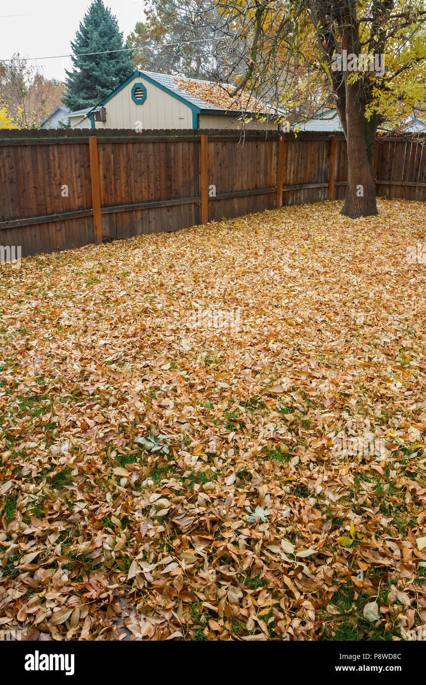 Rake angle hi-res stock photography and images - Alamy
