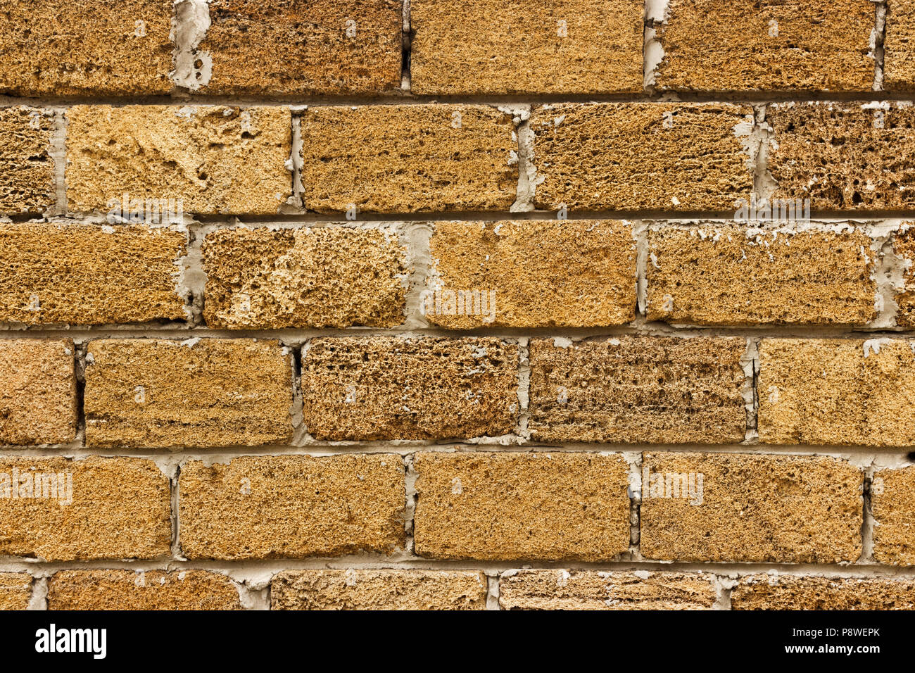 brick from shells Texture background , wall is made of shells brick ...
