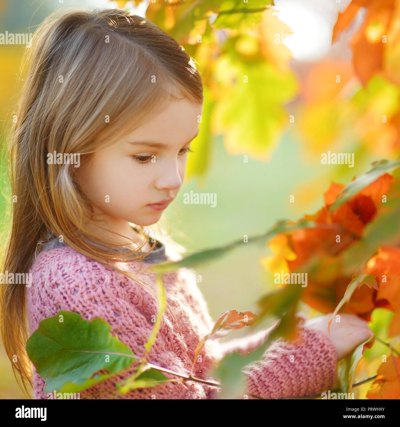 Portrait of a cute little girl on beautiful golden autumn day Stock ...