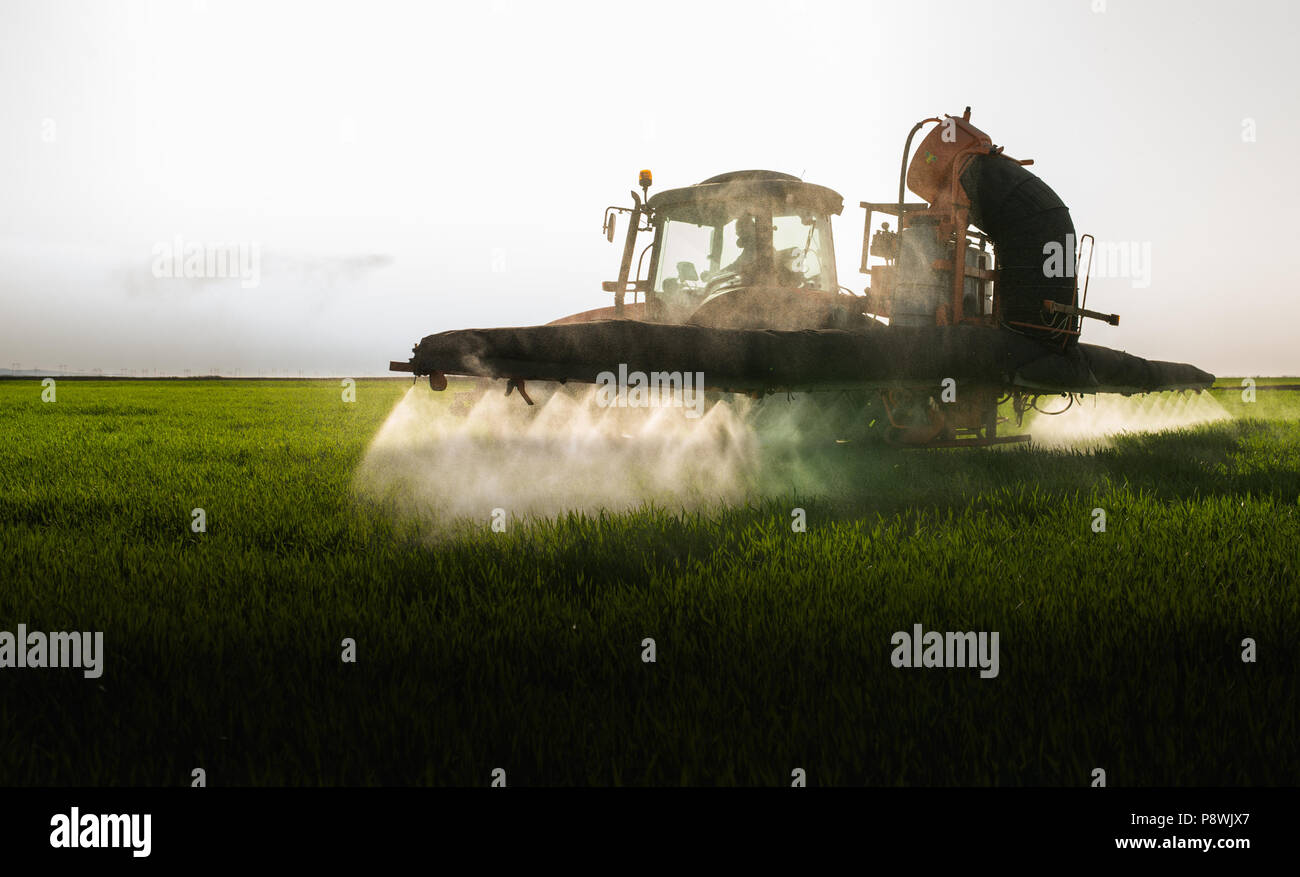 Tractor spraying wheat field with sprayer Stock Photo - Alamy