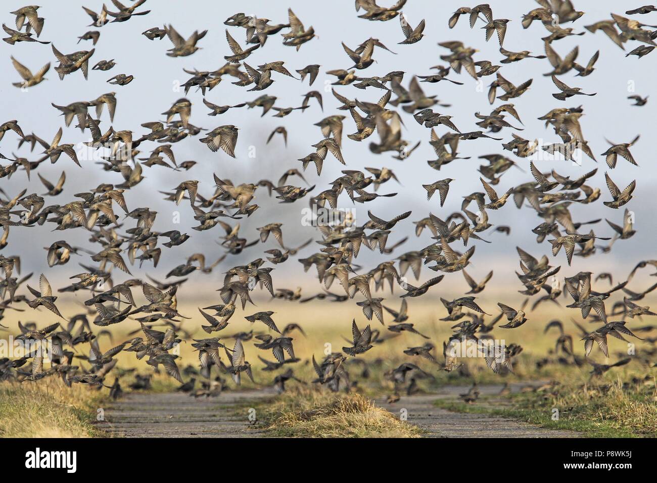 Big fat plane hi-res stock photography and images - Alamy