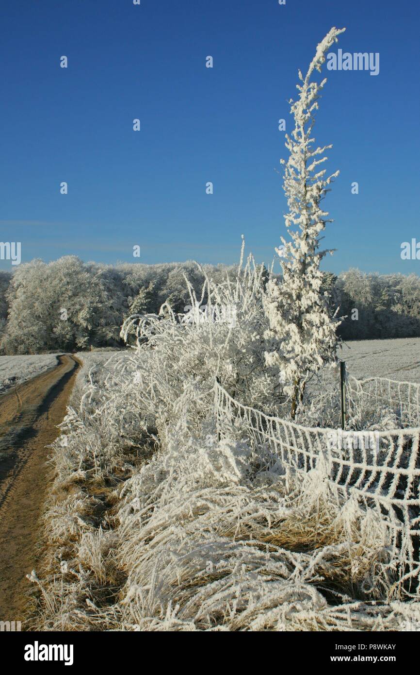 winter scenery in snowy countryside, Wiesenburg, Brandenburg, Germany ...