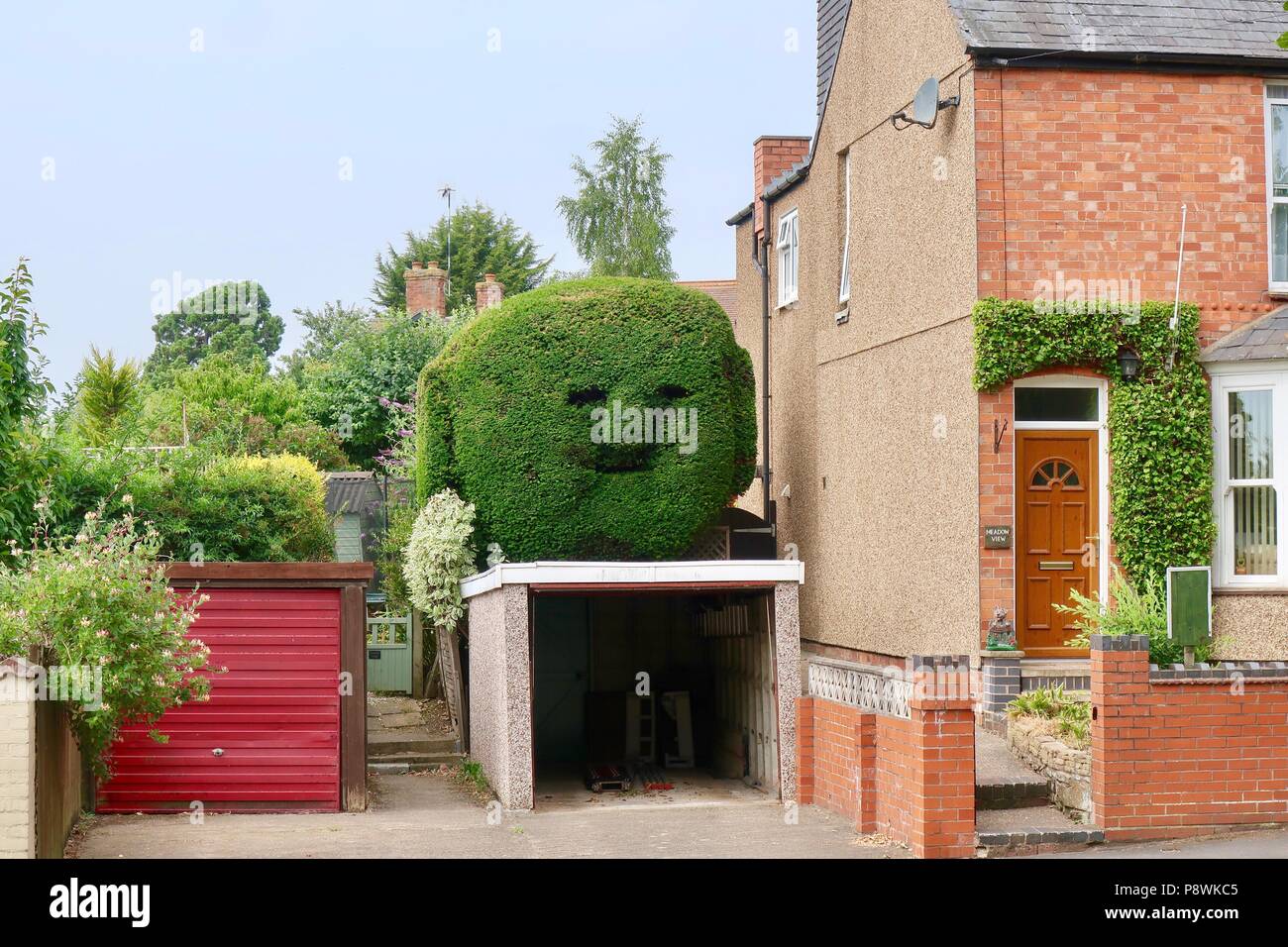 Face topiary hedge hi-res stock photography and images - Alamy