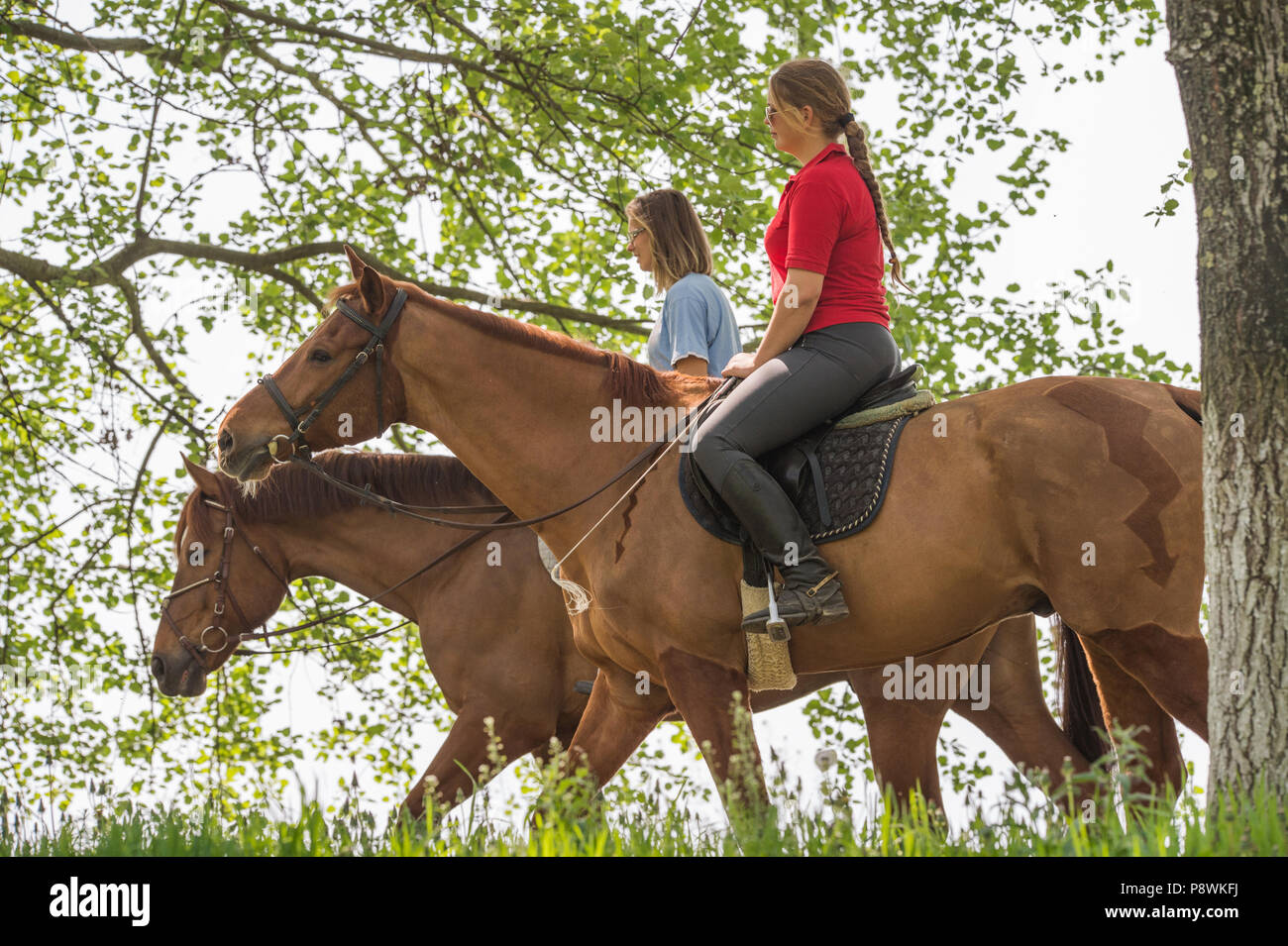 Two girls on horseback hi-res stock photography and images - Alamy