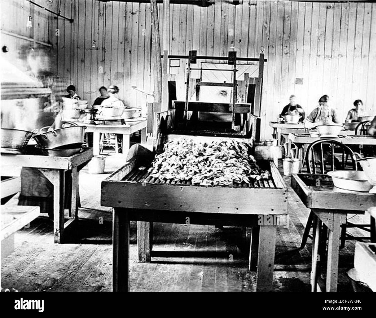 . 73 Cannery workers at the Sea Beach Packing Works, Copalis ...