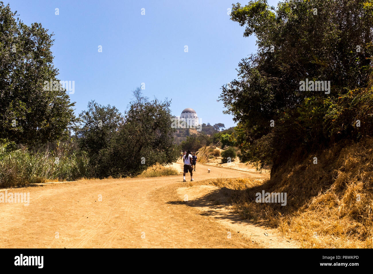 The Trail Up To Griffith Observatory - Los Angeles, California Stock ...
