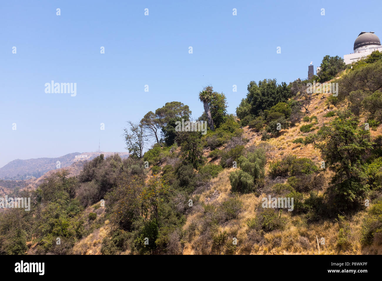 The Trail Up To Griffith Observatory - Los Angeles, California Stock ...