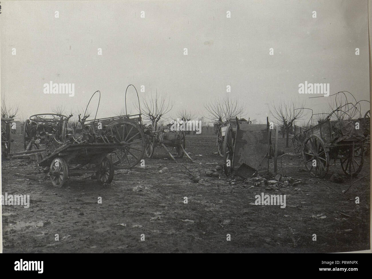 . 82 Codroipo (BildID 15667533 Stock Photo - Alamy