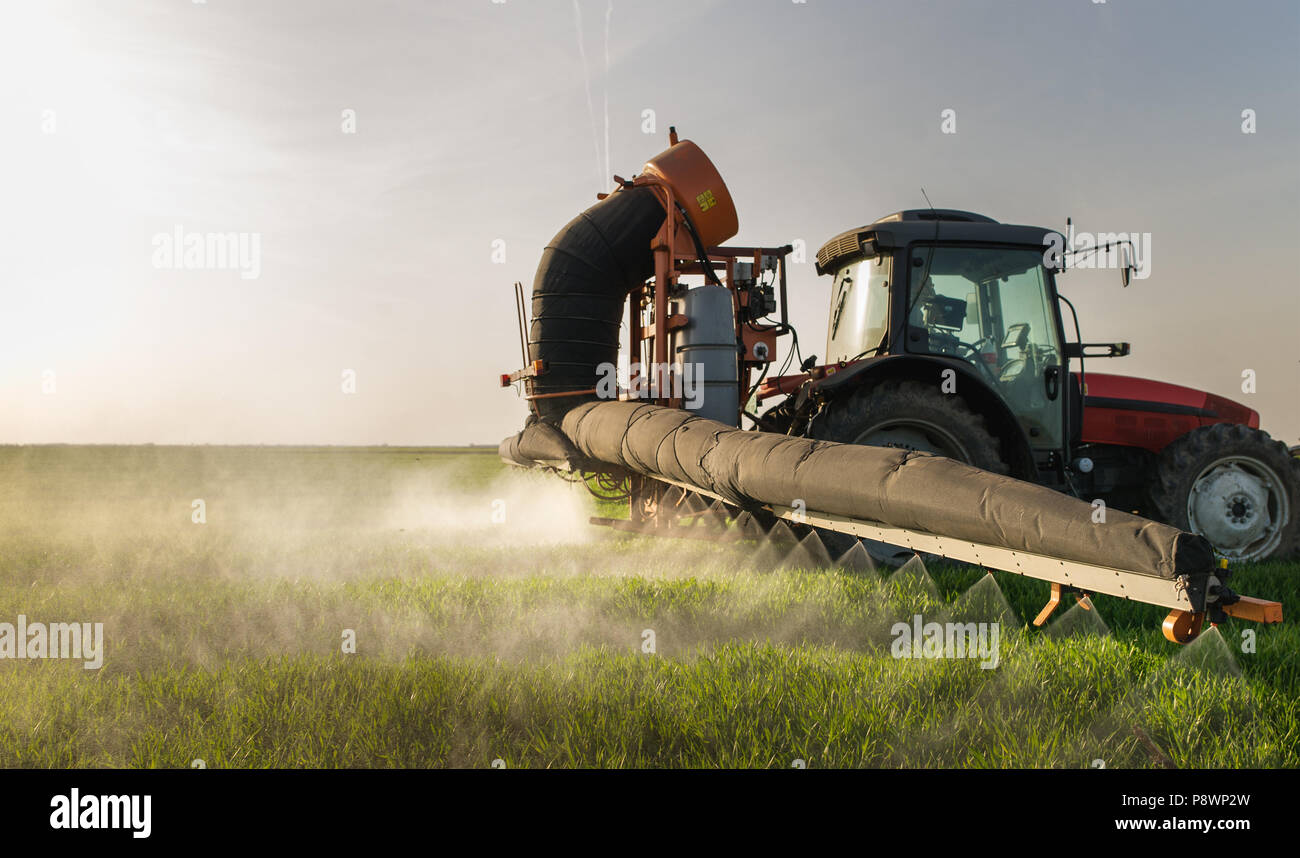 Tractor spraying wheat field with sprayer Stock Photo - Alamy