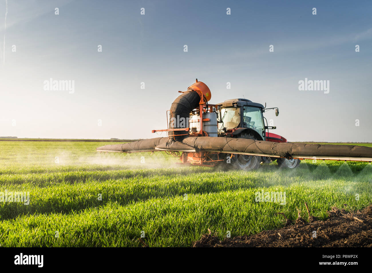 Tractor spraying wheat field with sprayer Stock Photo - Alamy