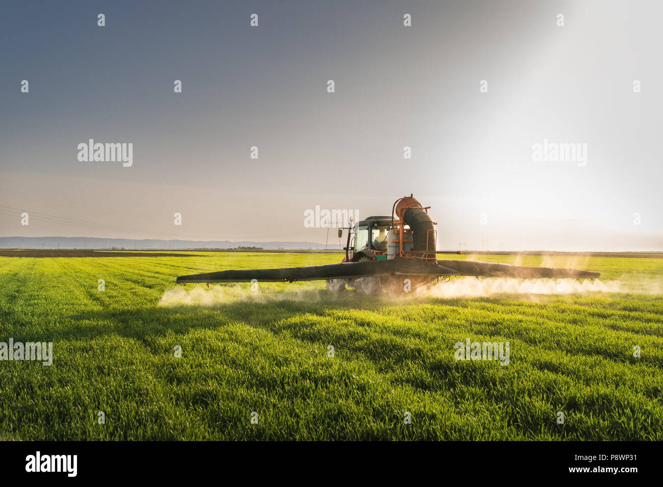 Tractor spraying wheat field with sprayer Stock Photo - Alamy