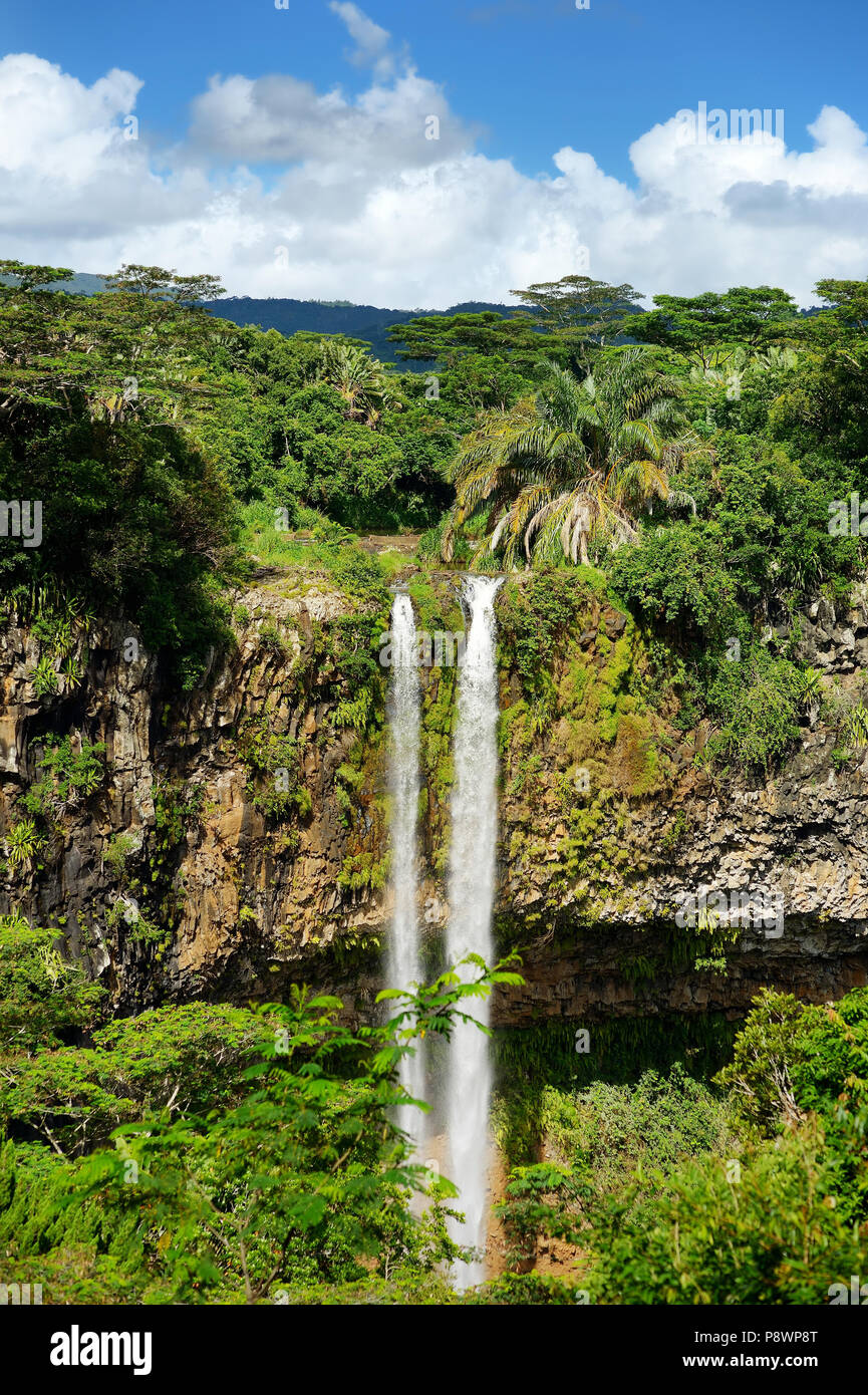 Scenic Chamarel falls in jungle of Mauritius island Stock Photo - Alamy