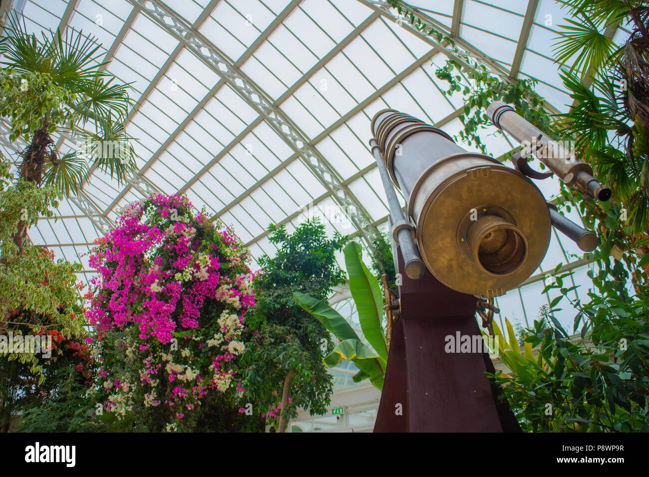 Telescope tree hi-res stock photography and images - Alamy