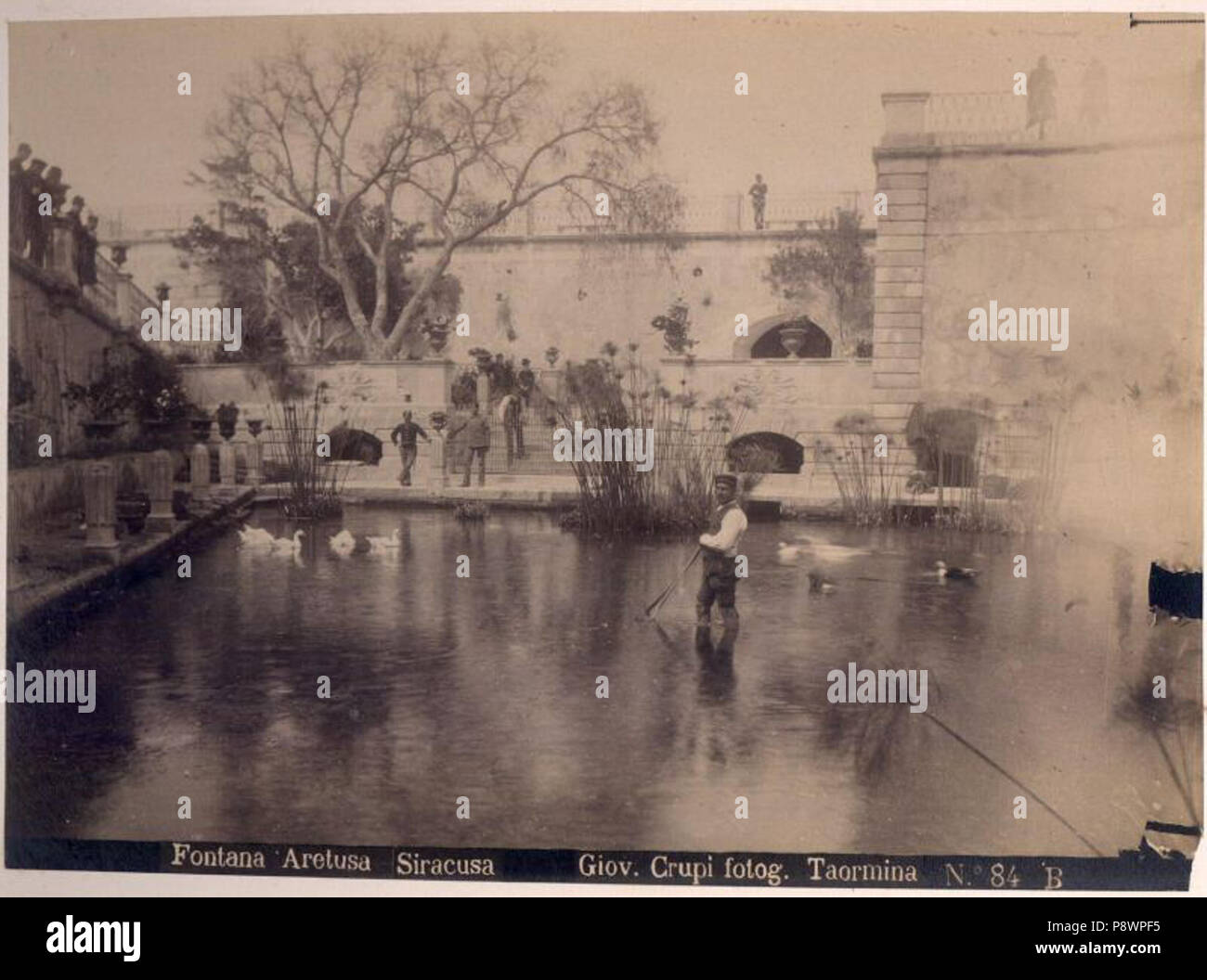 . 85 Crupi, Giovanni (1849-1925) - n. 0084 B - Fontana Aretusa ...