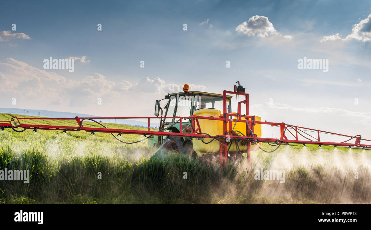 Tractor spraying wheat field with sprayer Stock Photo - Alamy