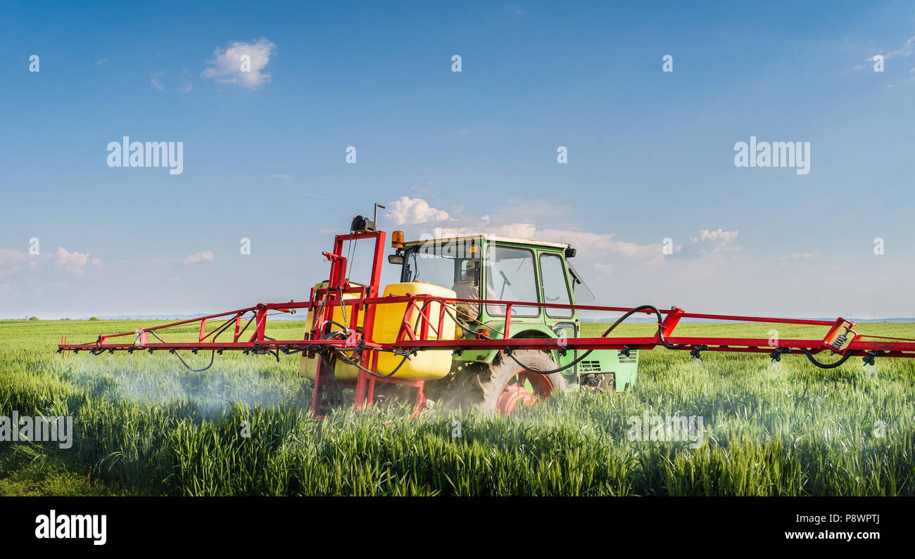 Tractor spraying wheat field with sprayer Stock Photo - Alamy