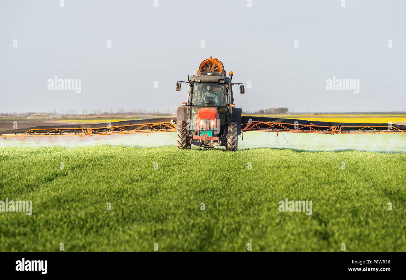 Tractor spraying wheat field with sprayer Stock Photo - Alamy