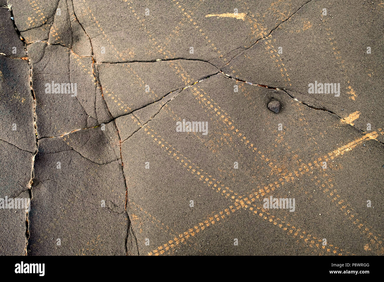 Rough terrain bike hi-res stock photography and images - Alamy