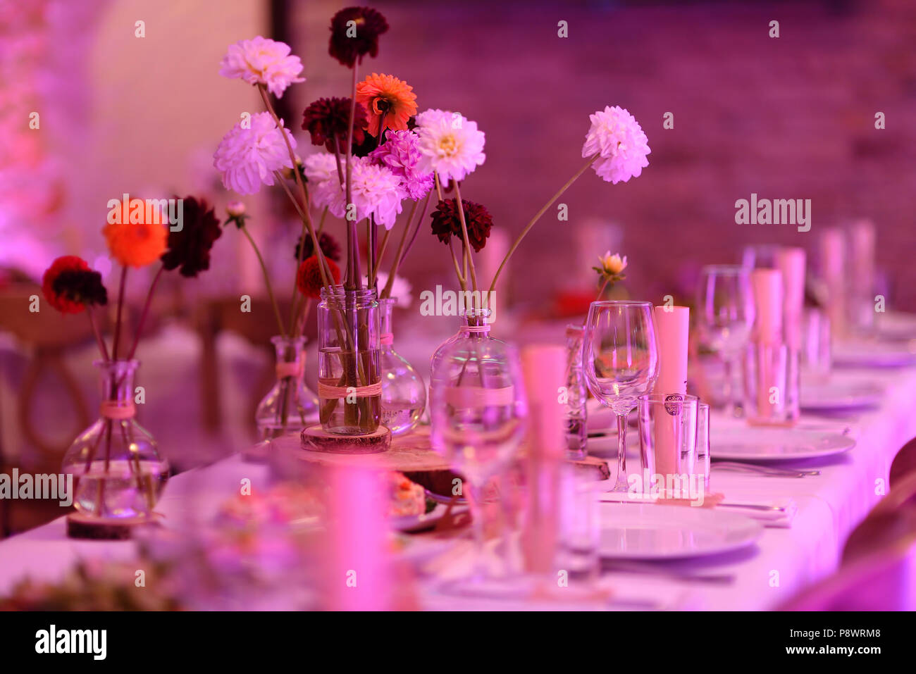 Table set for an event party or wedding reception in purple light Stock ...