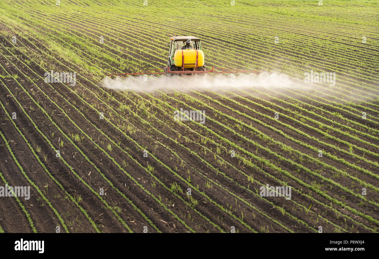 Tractor spraying soybean field at spring Stock Photo - Alamy