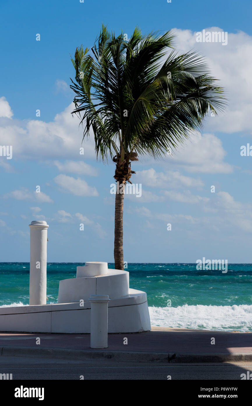 Palm treescape hi-res stock photography and images - Alamy