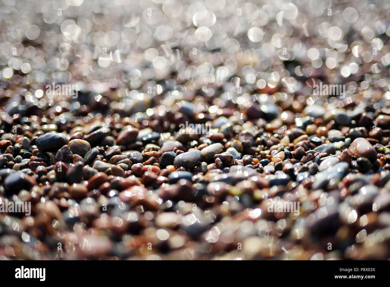 Sparkling wet pebbles on a beach Stock Photo - Alamy