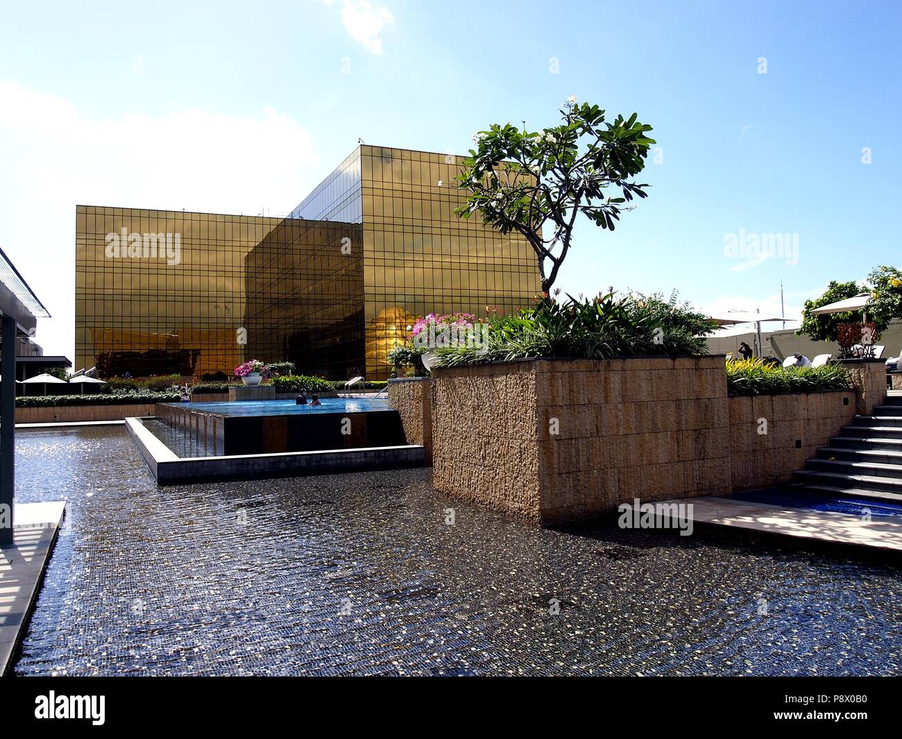PARANAQUE, METRO MANILA, PHILIPPINES - JANUARY 17, 2017: Outdoor garden ...