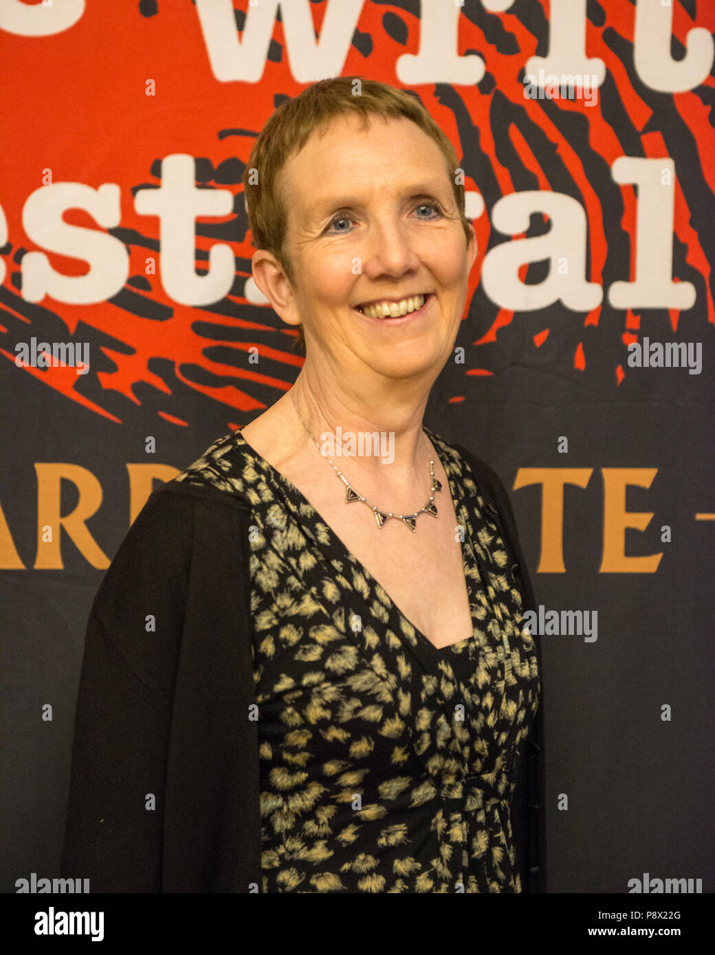 Photograph of the author Ann Cleeves Stock Photo - Alamy