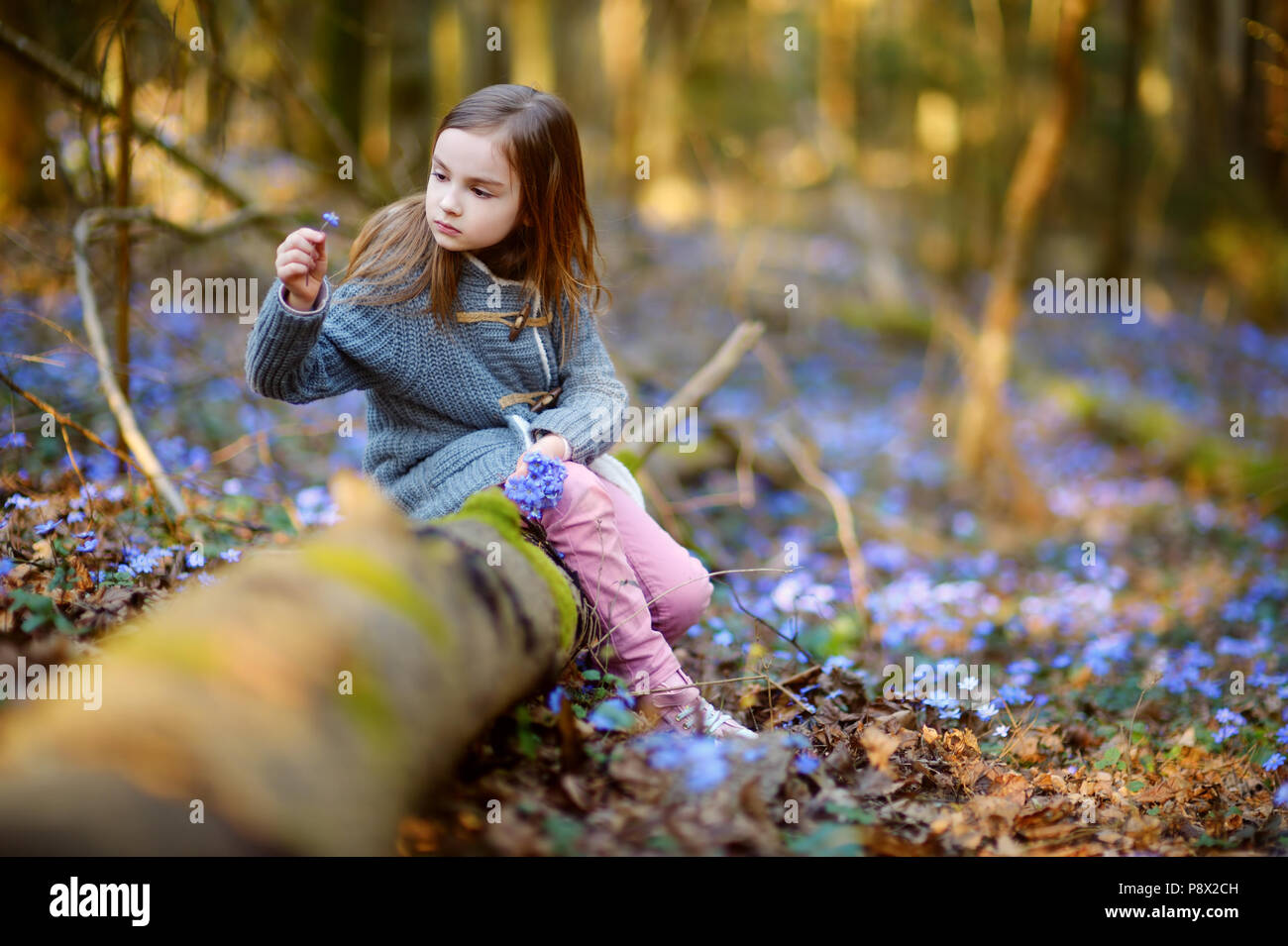 Adorable little girl picking the first flowers of spring in the woods ...