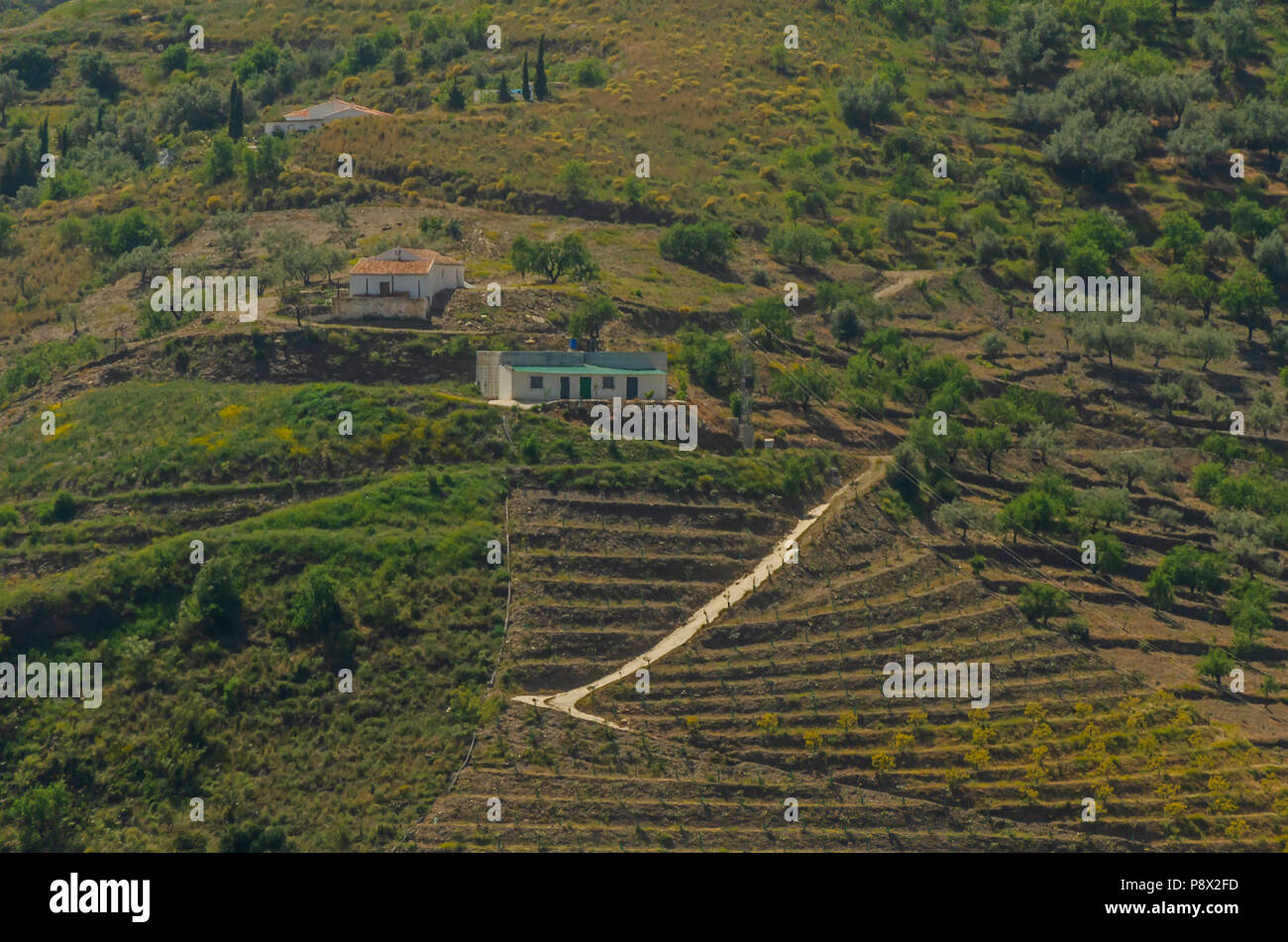 typical spanish village houses and farmland in the hills of andalusia ...