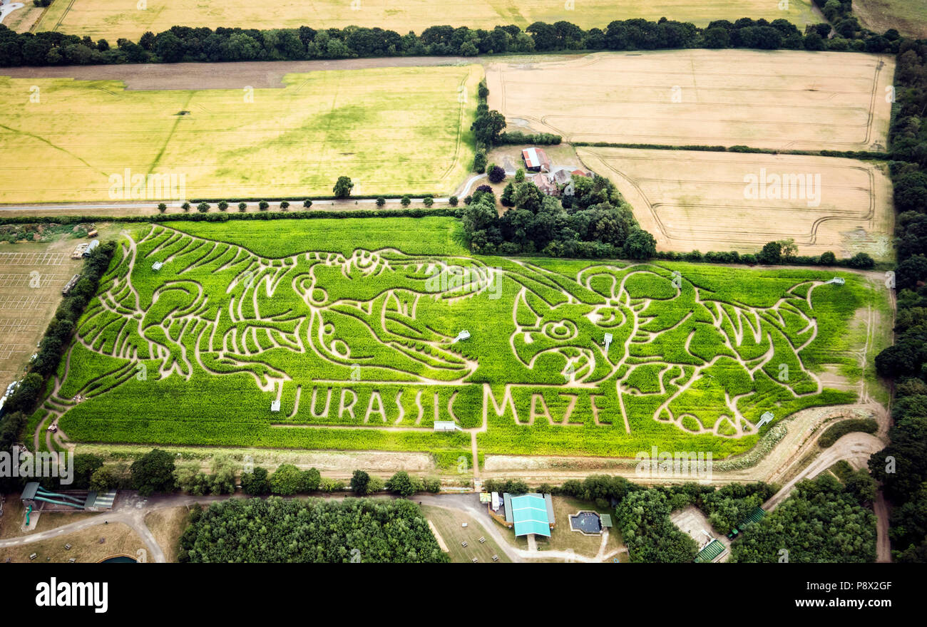 A maze forming a Jurassic scene in a five acre field of maize plants at York Maze to mark the ...