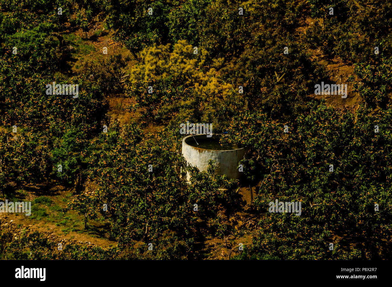 Concrete irrigation basin on high hills in Andalusia, a place of water ...