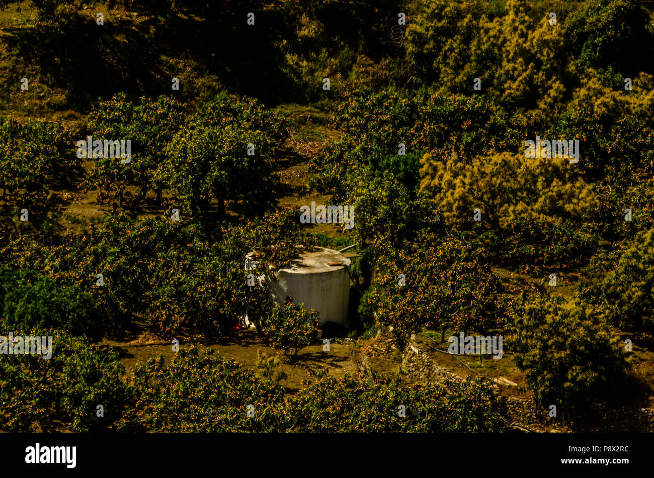 Concrete irrigation basin on high hills in Andalusia, a place of water ...