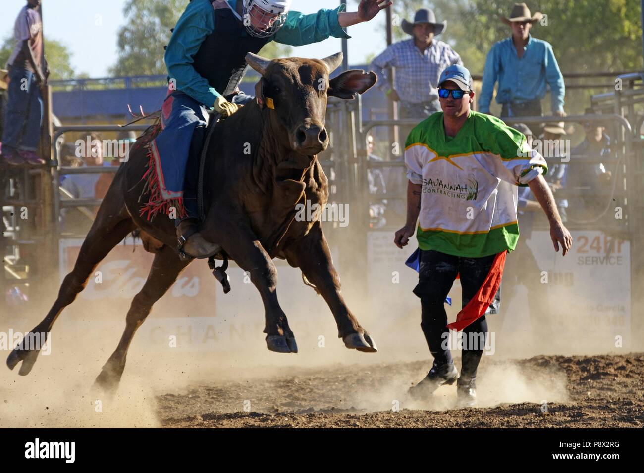 Bull riding australia hi-res stock photography and images - Alamy