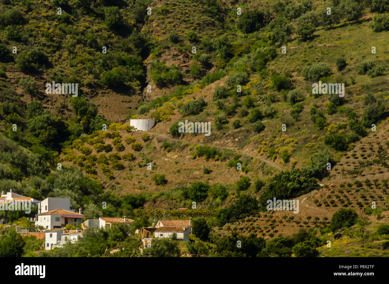 typical spanish village houses and farmland in the hills of andalusia ...