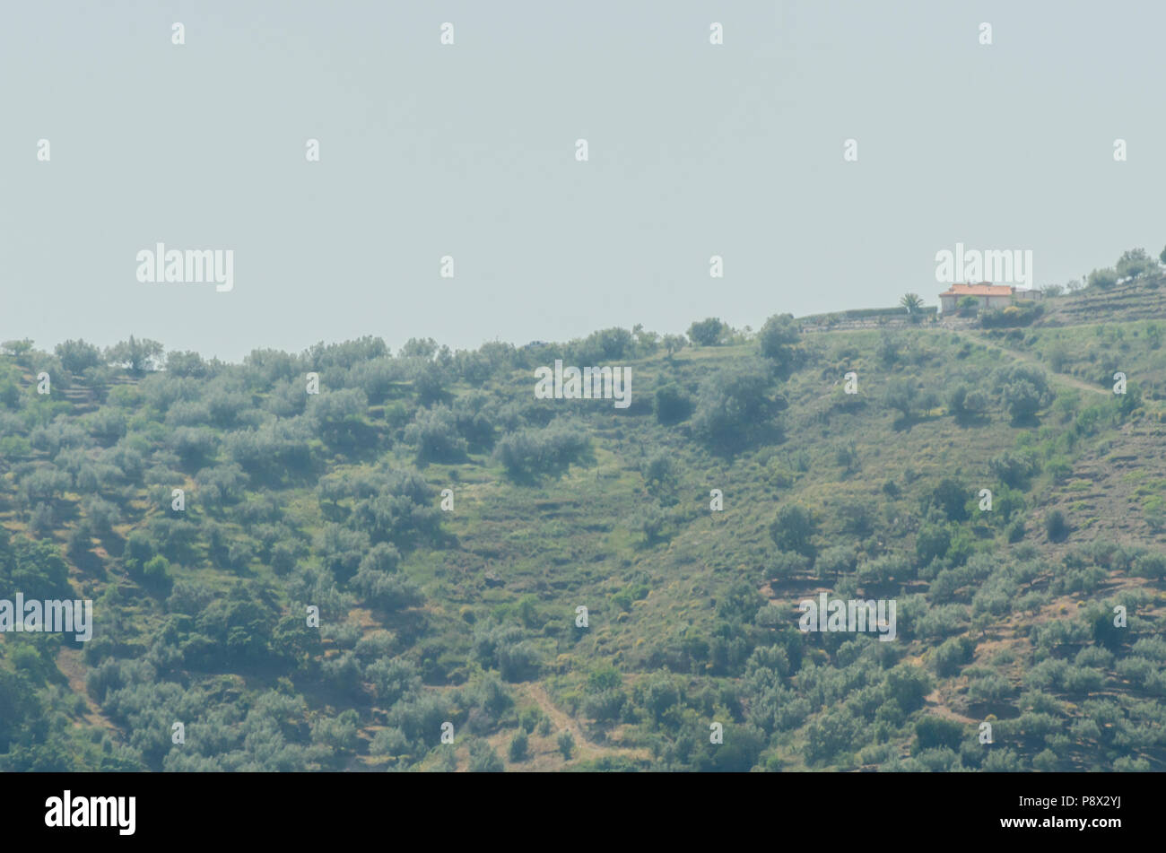 typical spanish village houses and farmland in the hills of andalusia ...
