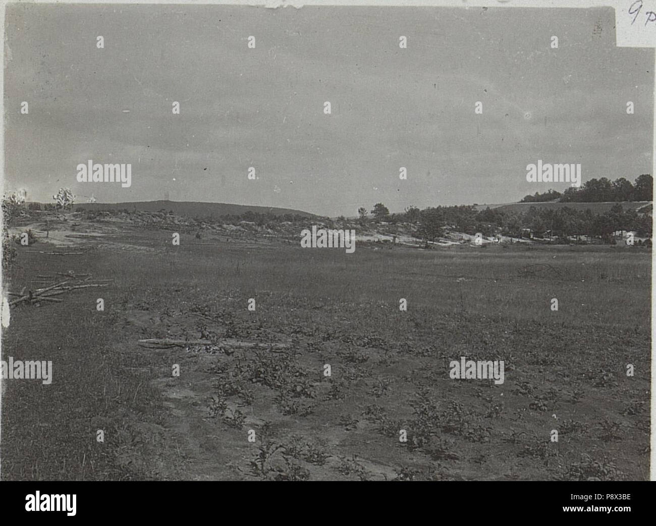 61 Blick geg.Hügel 240 Standpunkt 210 westl.Mosty Juli 1915 (BildID ...