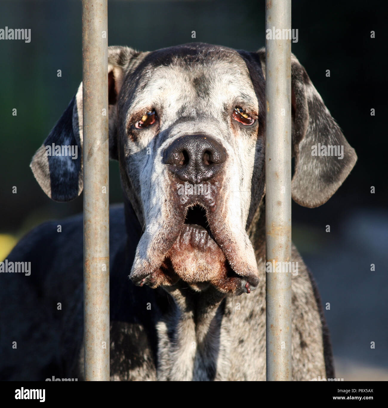 Big prison hi-res stock photography and images - Alamy