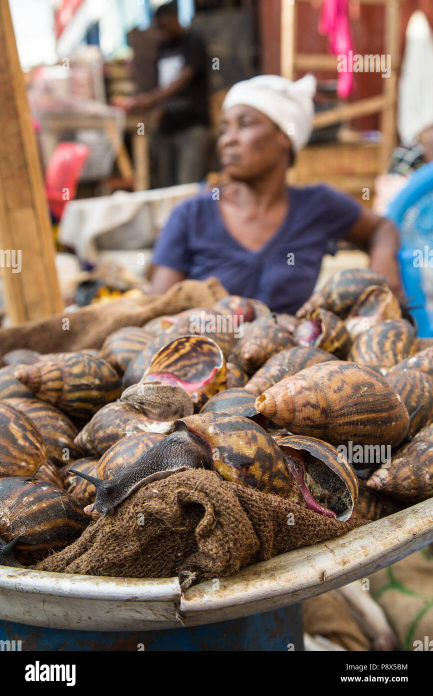 Snails for sale on market stall, Ghana Stock Photo - Alamy